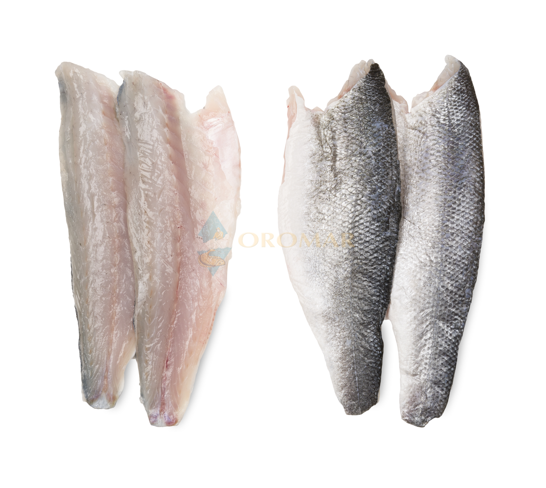 Robalo - Dicentrarchus labrax - Fresco y congelado - Oromar